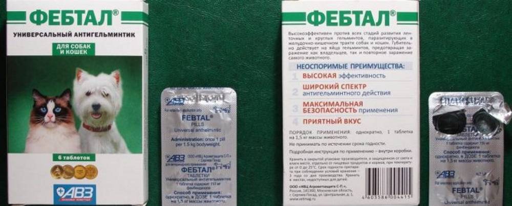 Фебтал для собак: показания и инструкция по применению, отзывы, цена